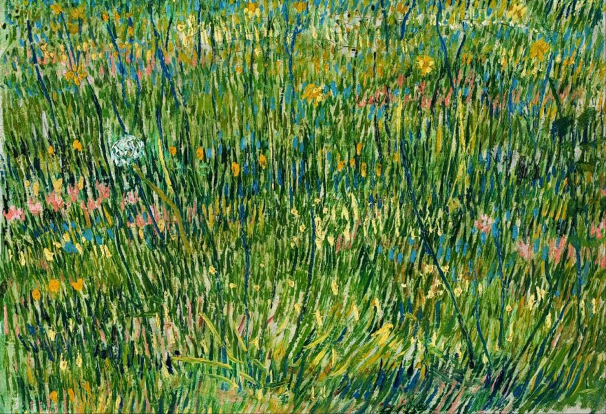 Leaves of Grass by Walt Whitman