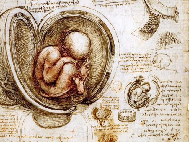 The Notebooks of Leonardo Da Vinci, Complete by Leonardo Da Vinci